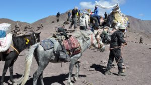 Carnet de trek : La vallée de la Markha - Terre de Treks